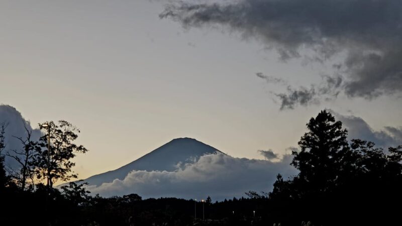 Mt Fuji & Hakone Tour Bullet Train Return GREEN NUMBER PLATE - Important Information