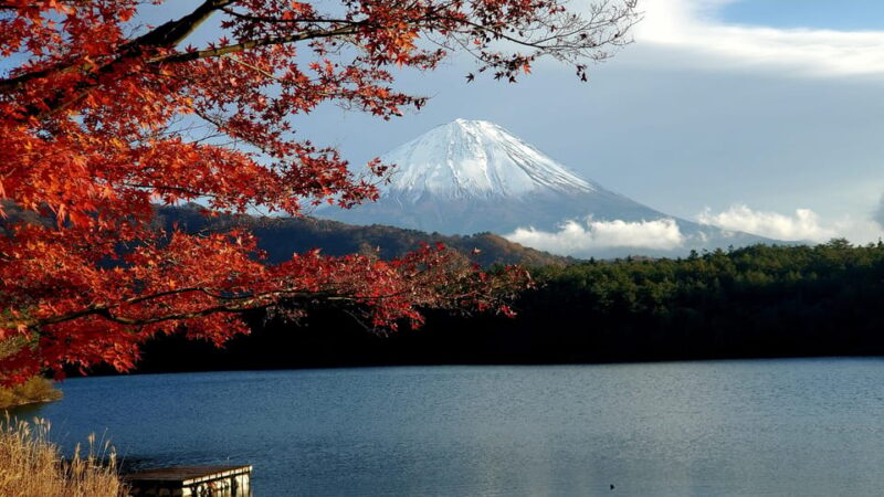 Mt Fuji & Hakone Tour Bullet Train Return GREEN NUMBER PLATE - Scenic Wonders