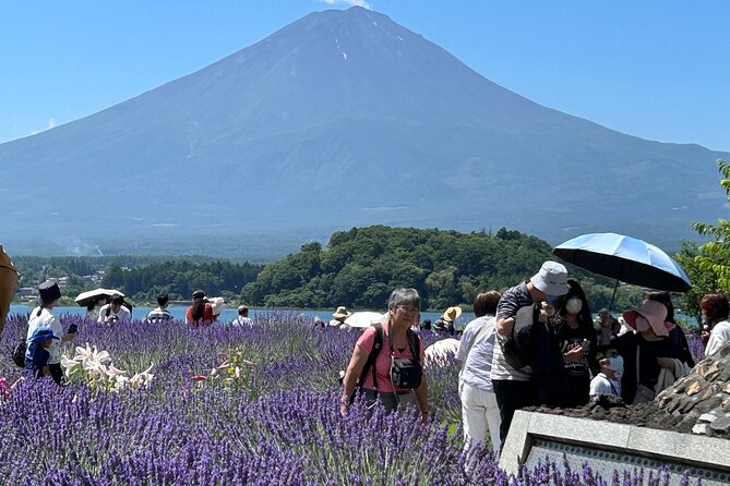 Mt.Fuji & Hakone Tour, From-To Tokyo/Yokohama/Odawara, 2-12guests - Common Questions