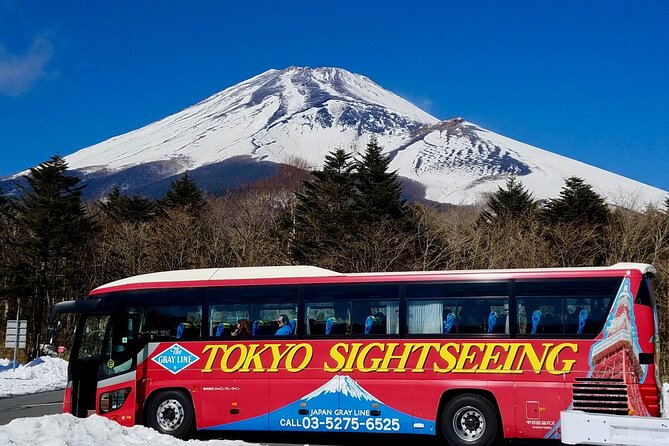 Mt. Fuji & Hakone Tour Tokyo Hotel Pick-Up by Grayline - Key Points