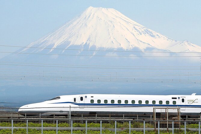 Mt. Fuji & Hakone Tour Tokyo Hotel Pick-Up by Grayline - Tour Logistics and Accessibility