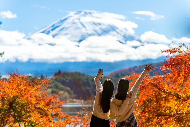 Mt. Fuji Highlight Photo Spots One Day Tour From Tokyo - Inclusions and Transportation