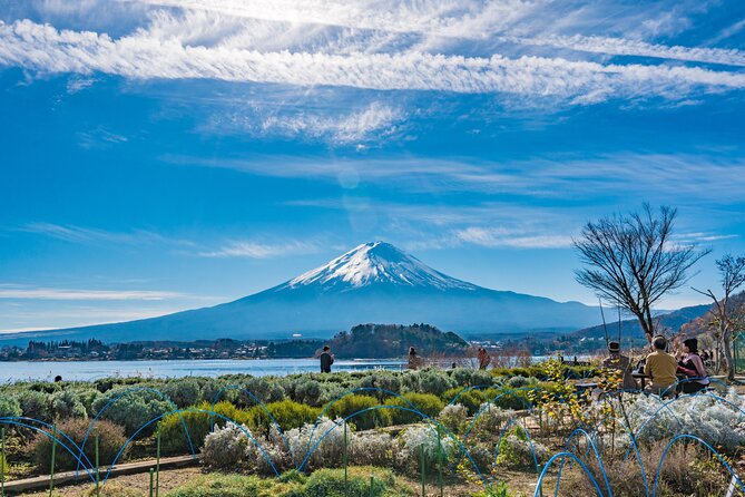 Mt. Fuji Highlight Photo Spots One Day Tour From Tokyo - Itinerary and Experience