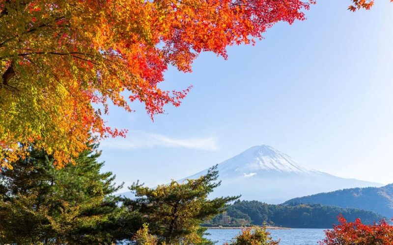 Mt Fuji : Highlight Tour and Unforgettable Experience - Discovering the Chureito Pagoda Shrine