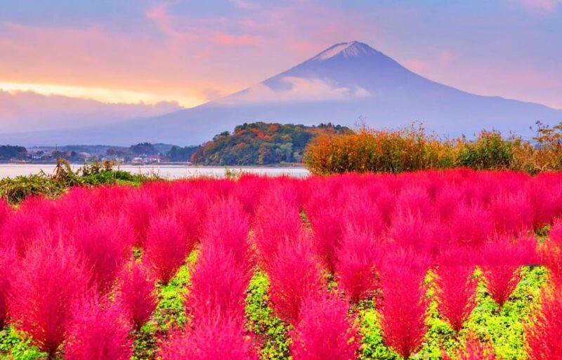 Mt. Fuji Highlights Day Tour With Hotel Pick-Up VIP Group - Key Points