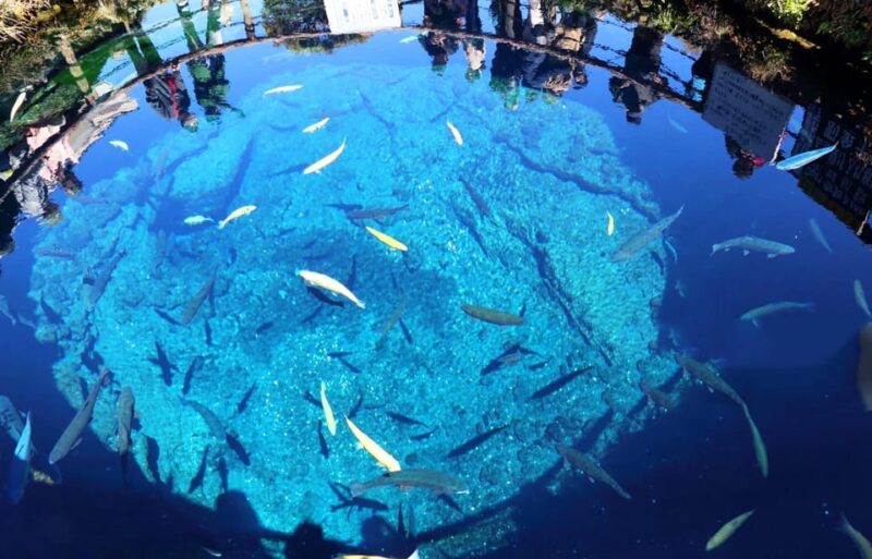 Mt. Fuji Highlights Day Tour With Hotel Pick-Up VIP Group - Tour Experience and Reviews