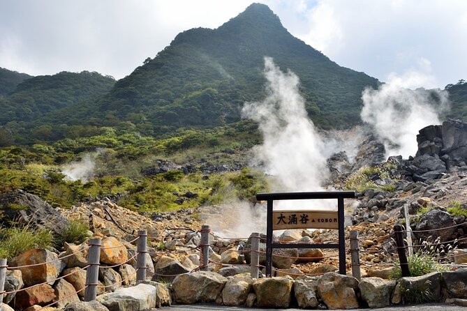 Mt Fuji Kawaguchi/Hakone/Yokohama Tokyo Customize Private Car - Supplementary Information