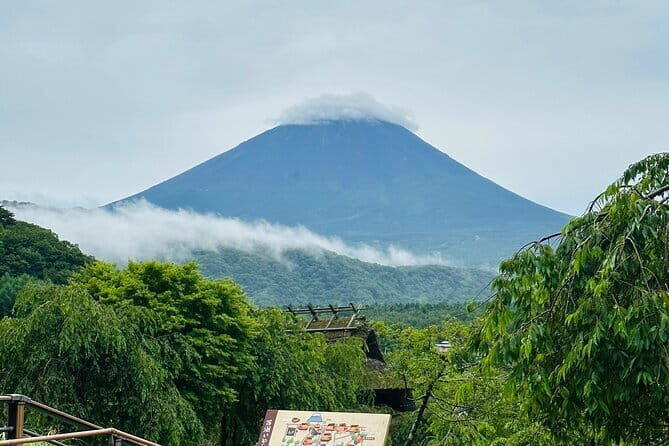 Mt. Fuji, Lake Kawaguchiko Attractive Private One Day Tour - The Journey Begins: From Tokyo to Mount Fuji
