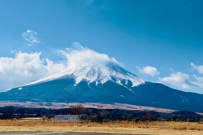 Mt. Fuji, Lake Kawaguchiko Attractive Private One Day Tour - Oishi Park: Seasonal Flowers and Scenic Walks