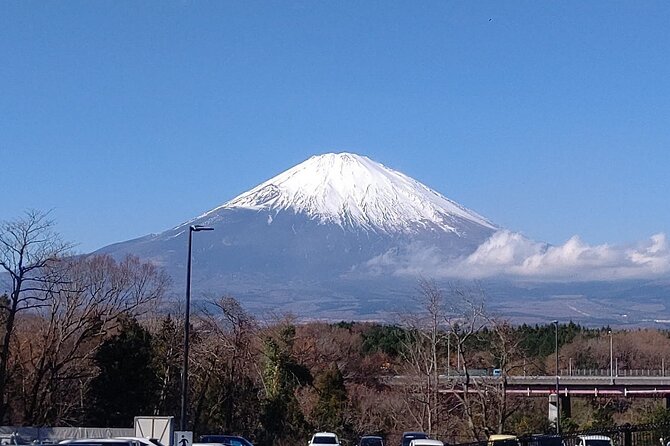 Mt. Fuji, Lake Kawaguchiko Private Tour With Pick up - Tour Flexibility and Customization