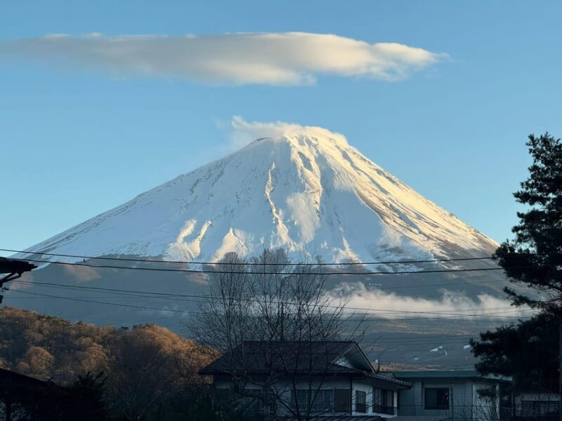 MT.Fuji: Mount Fuji Private Day Tour English Speaking Driver - Expert Guidance