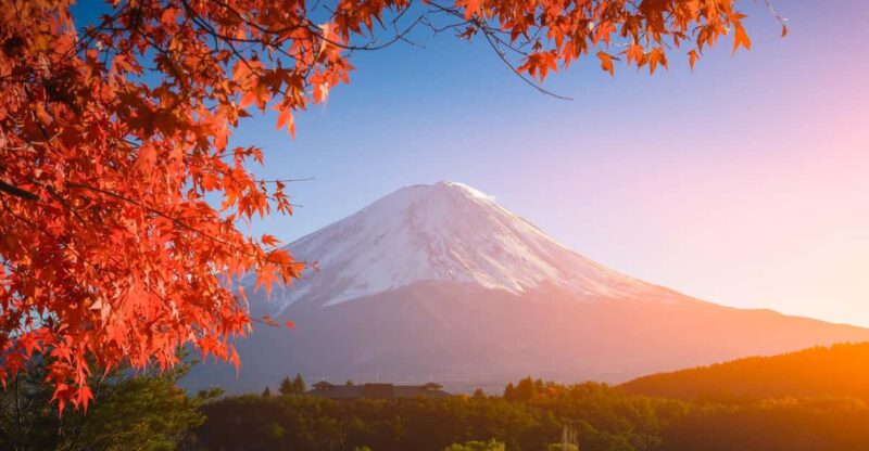 MT.Fuji: Mount Fuji Private Day Tour English Speaking Driver - Flexibility and Personalized Attention