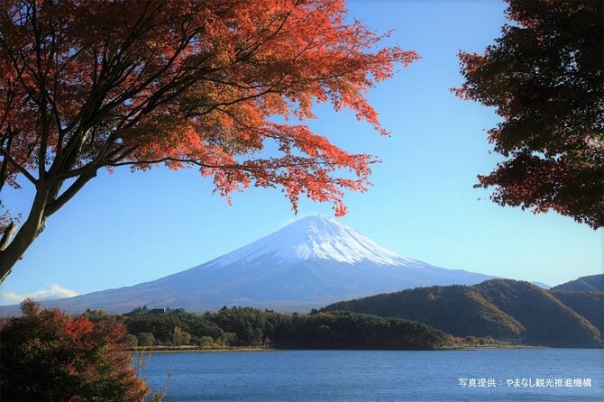 Mt.Fuji, Oishi Park & Arakurayama Sengen Park Bus Tour From Tokyo - Meeting and Departure Details
