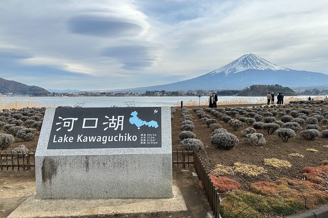 Mt.Fuji, Oishi Park & Arakurayama Sengen Park Bus Tour From Tokyo - Important Tour Information