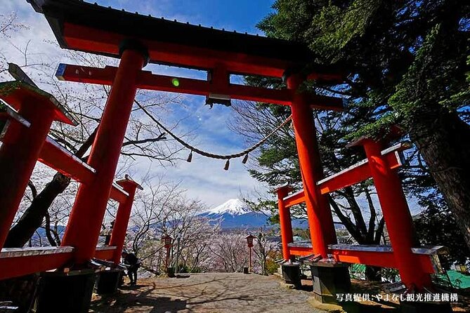 Mt.Fuji, Oishi Park & Arakurayama Sengen Park Bus Tour From Tokyo - Itinerary Flexibility