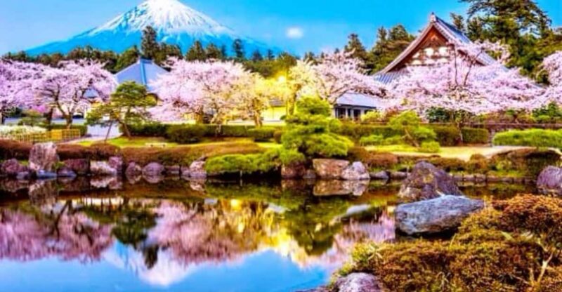 Mt. Fuji One Day Private Tour With English Speaking Driver - Scenic and Cultural Experiences
