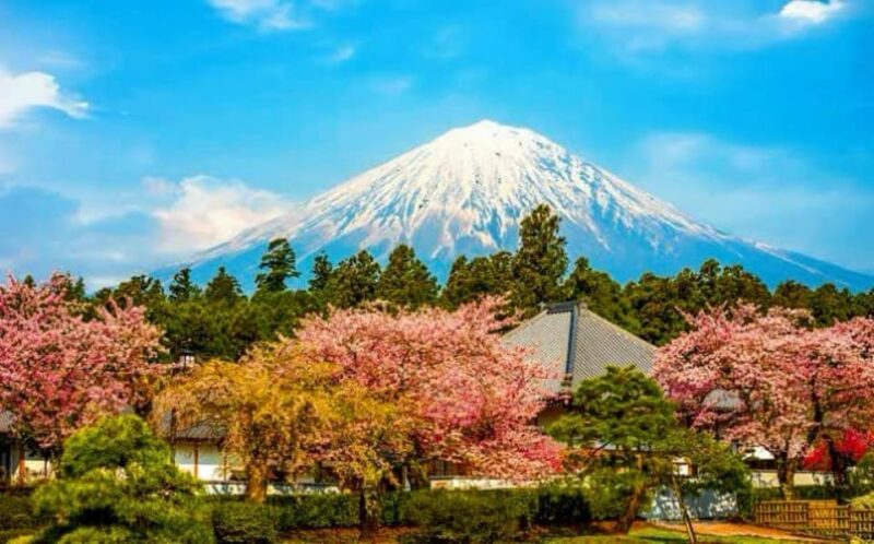 Mt. Fuji One Day Private Tour With English Speaking Driver - Adventure Options