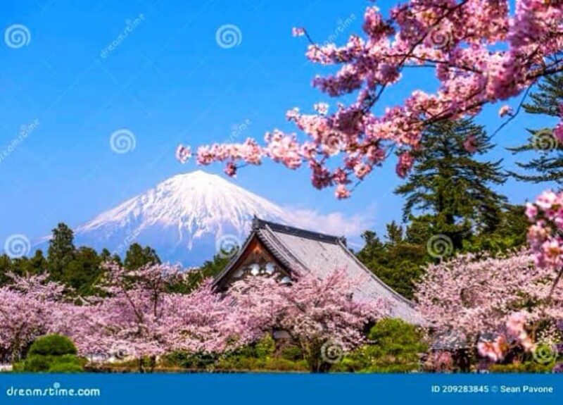 Mt. Fuji One Day Private Tour With English Speaking Driver - Tour Flexibility and Cancellation Policy