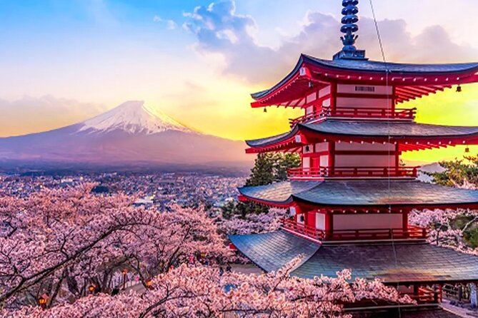 Mt. Fuji Oshino Hakkai Gotemba Outlet/Hot Spring Tour From Tokyo - Meeting and Transportation