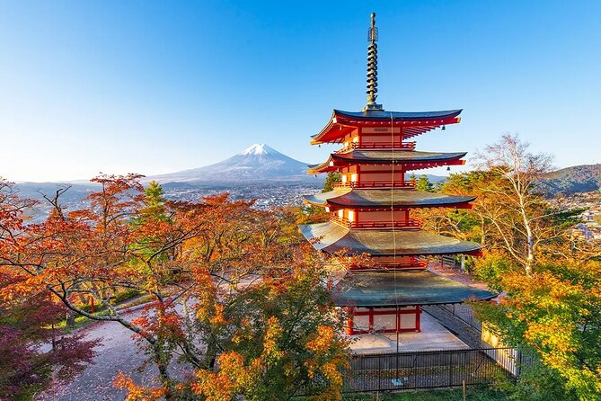 Mt. Fuji Oshino Hakkai Gotemba Outlet/Hot Spring Tour From Tokyo - Traveler Experience and Reviews