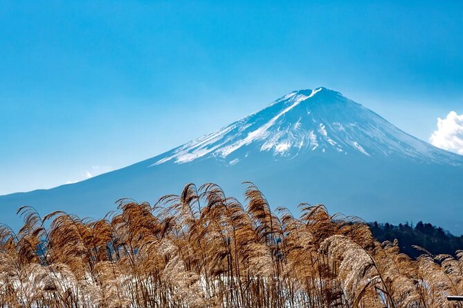Mt. Fuji Oshino Hakkai Gotemba Outlet/Hot Spring Tour From Tokyo - Common Questions