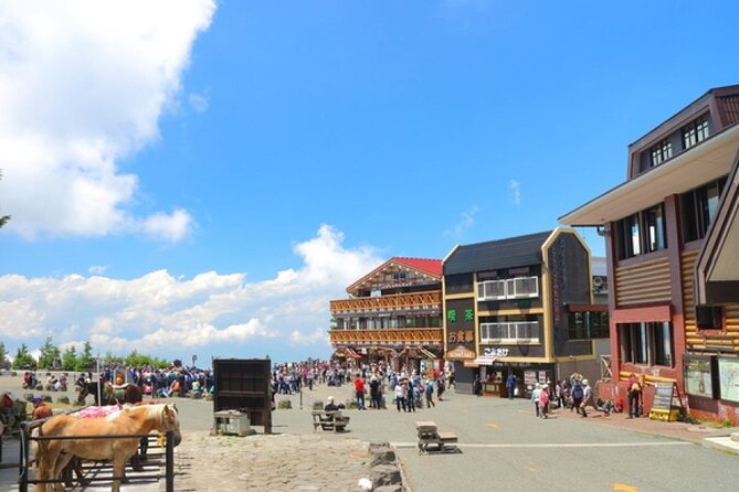 Mt Fuji, Panoramic Ropeway & Seasonal Fruits Picking - Key Points