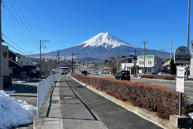 Mt FUJI - Panoramic Tour W/ Hoto Lunch, JP Sake & Onsen Tatto OK! - Itinerary and Inclusions