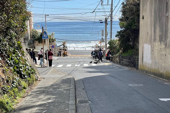 Mt FUJI - Panoramic Tour W/ Hoto Lunch, JP Sake & Onsen Tatto OK! - Tour Experience