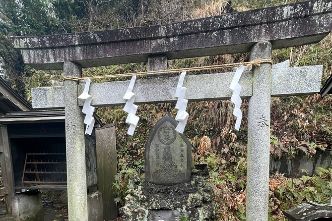 Mt FUJI - Panoramic Tour W/ Hoto Lunch, JP Sake & Onsen Tatto OK! - Customer Feedback