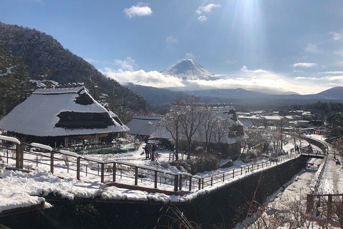 Mt.Fuji (Plus Gotemba)Tour , From/To Tokyo&Yokohama, 2- 12 Guests - Guest Experience
