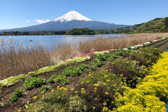 Mt.Fuji (Plus Gotemba)Tour , From/To Tokyo&Yokohama, 2- 12 Guests - Customer Feedback