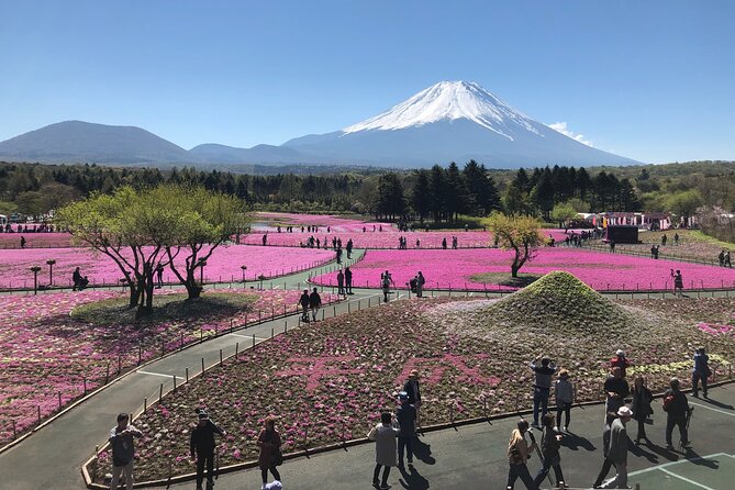 Mt.Fuji (Plus Gotemba)Tour , From/To Tokyo&Yokohama, 2- 12 Guests - Frequently Asked Questions