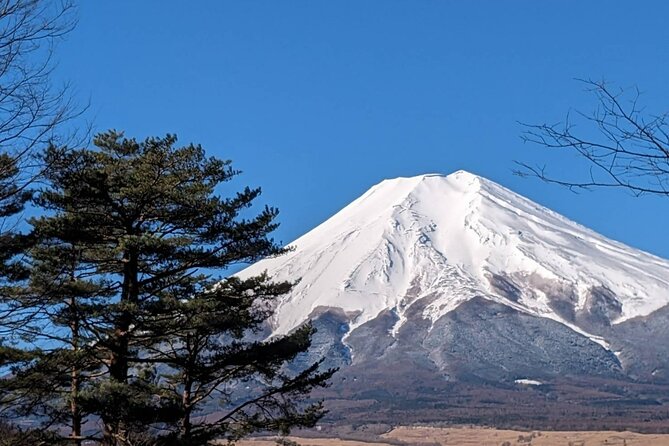 Mt. Fuji Private Car Tour From Tokyo - Meeting and Pickup