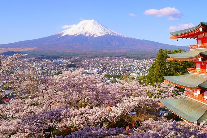 Mt. Fuji Private Car Tour From Tokyo - Accessibility and Participation