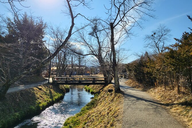 Mt. Fuji Private Car Tour From Tokyo - Whats Included and Excluded