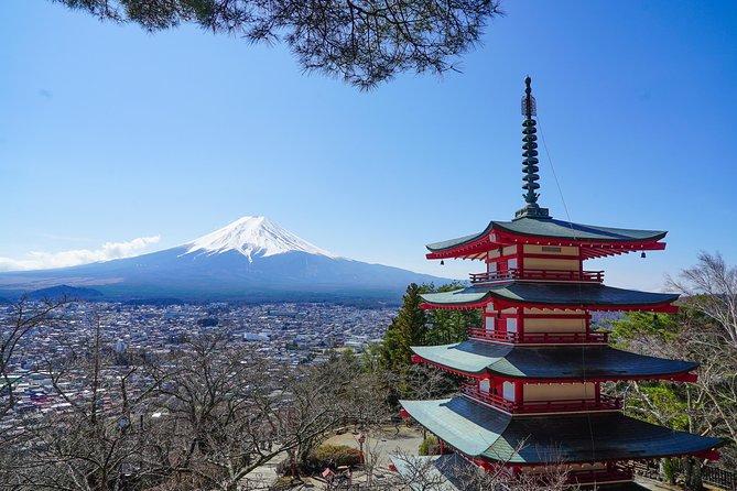 Mt. Fuji Private Chartered Tour With Nature & Wasabi Farm - Key Points