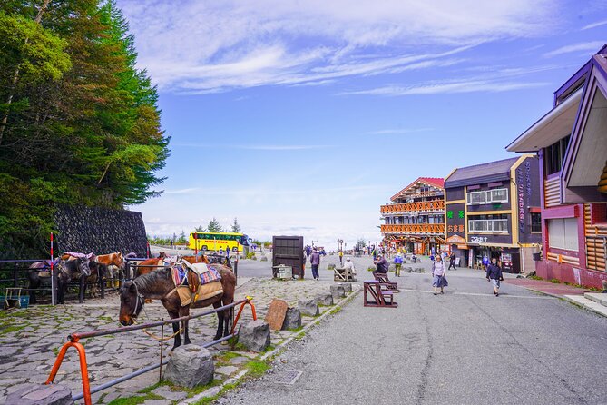 Mt. Fuji Private Chartered Tour With Nature & Wasabi Farm - Inclusions