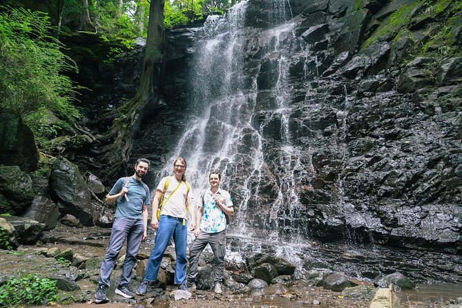 Mt. Fuji Private Chartered Tour With Nature & Wasabi Farm - Visiting the Wasabi Farm