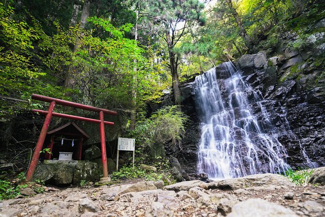 Mt. Fuji Private Chartered Tour With Nature & Wasabi Farm - Tasting and Experiences