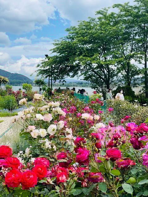 Mt Fuji Private Day Tour With English Speaking Driver - Customizing Your Mt. Fuji Adventure