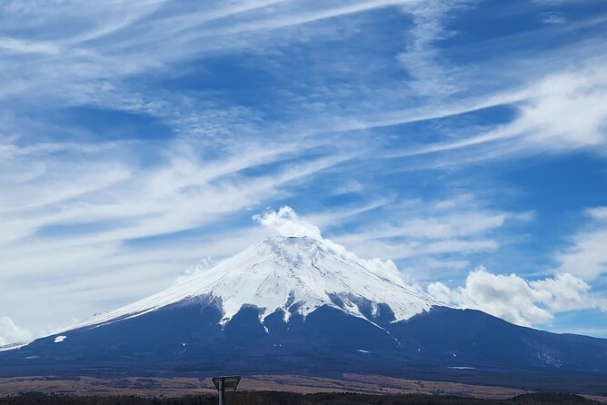 Mt Fuji Private Day Tour With English Speaking Driver - Key Points