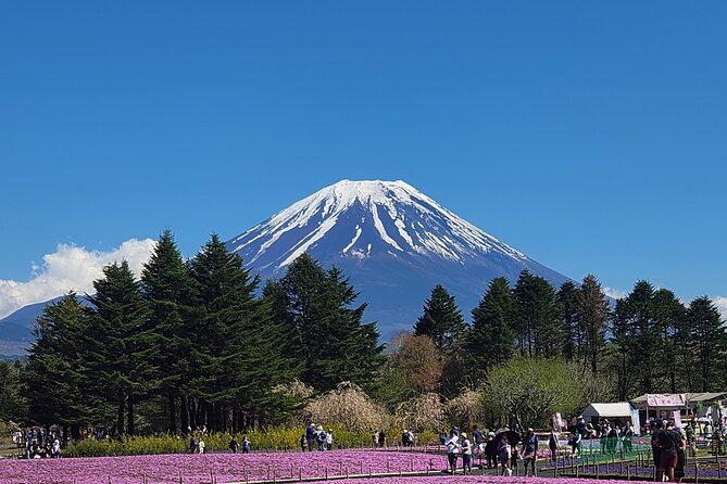 Mt Fuji Private Day Tour With English Speaking Driver - Indulge in Delectable Meals