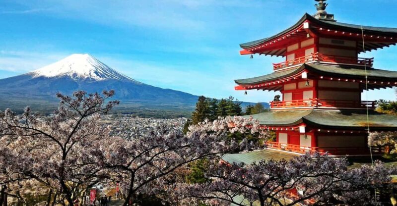 Mt. Fuji Private Day Trip With an English Speaking Driver - Customizing Your Tour Experience