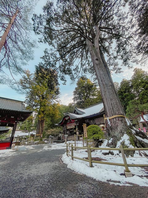 Mt Fuji Private Sightseeing Car Tour With Japanese Guide - Preparation and Recommendations