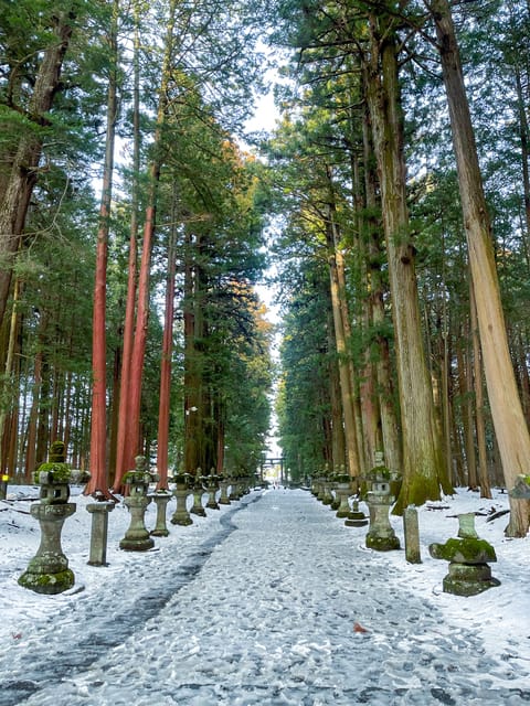 Mt Fuji Private Sightseeing Car Tour With Japanese Guide - Safe Driving and Creating Memories