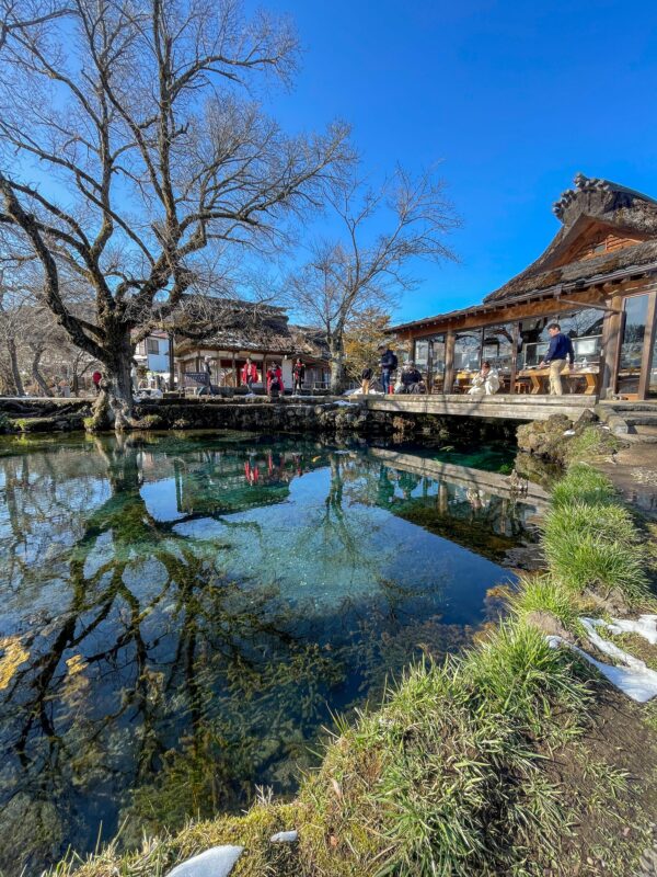 Mt Fuji Private Sightseeing Car Tour With Japanese Guide - Family-Friendly Tour