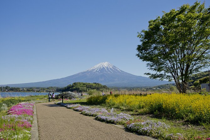 Mt.Fuji Private SightSeeing Day Tour (From Tokyo) - Inclusions