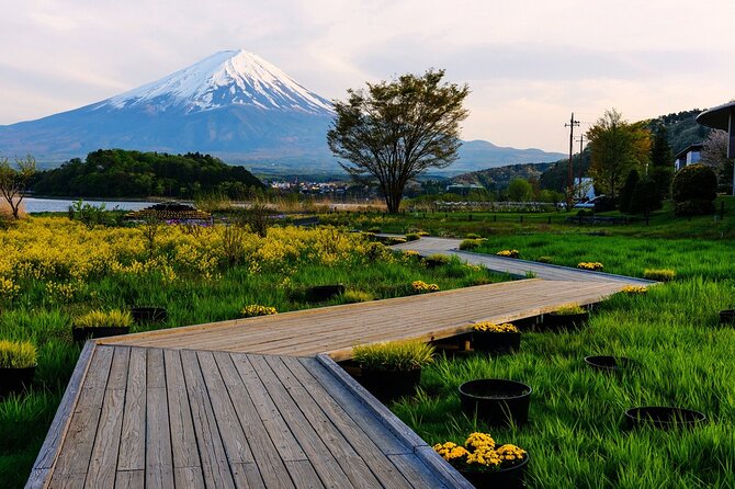 Mt.Fuji Private SightSeeing Day Tour (From Tokyo) - Additional Information