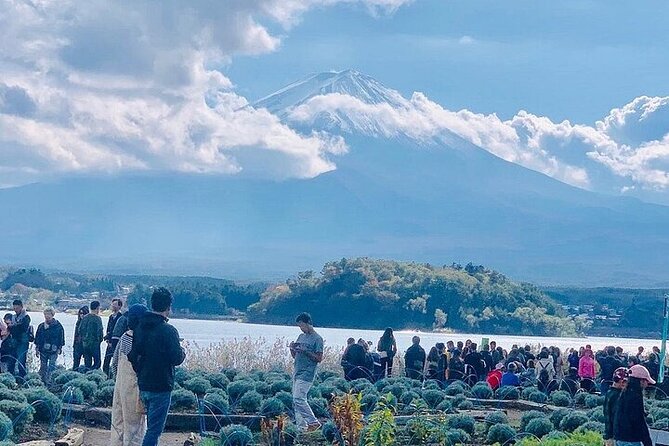 Mt Fuji Private Sightseeing Day Trip With English Speaking Driver - Highlights of the Tour
