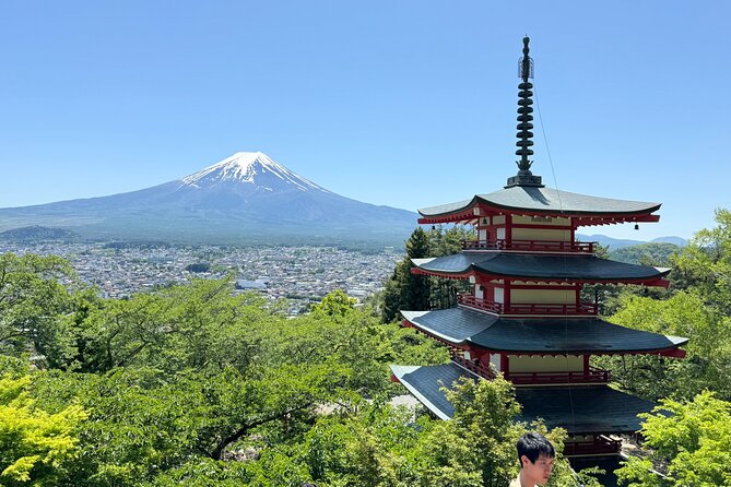 Mt Fuji Private Sightseeing Tour From Tokyo - Key Points